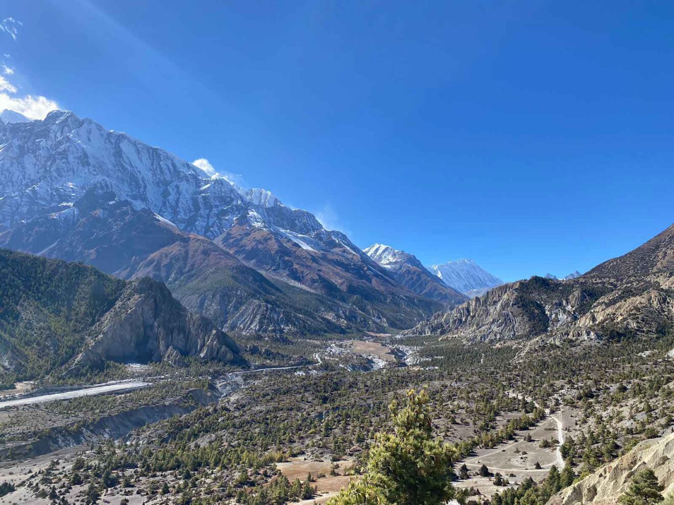 Best ABC Trek: 10 Reasons to go Annapurna Base Camp in Nepal