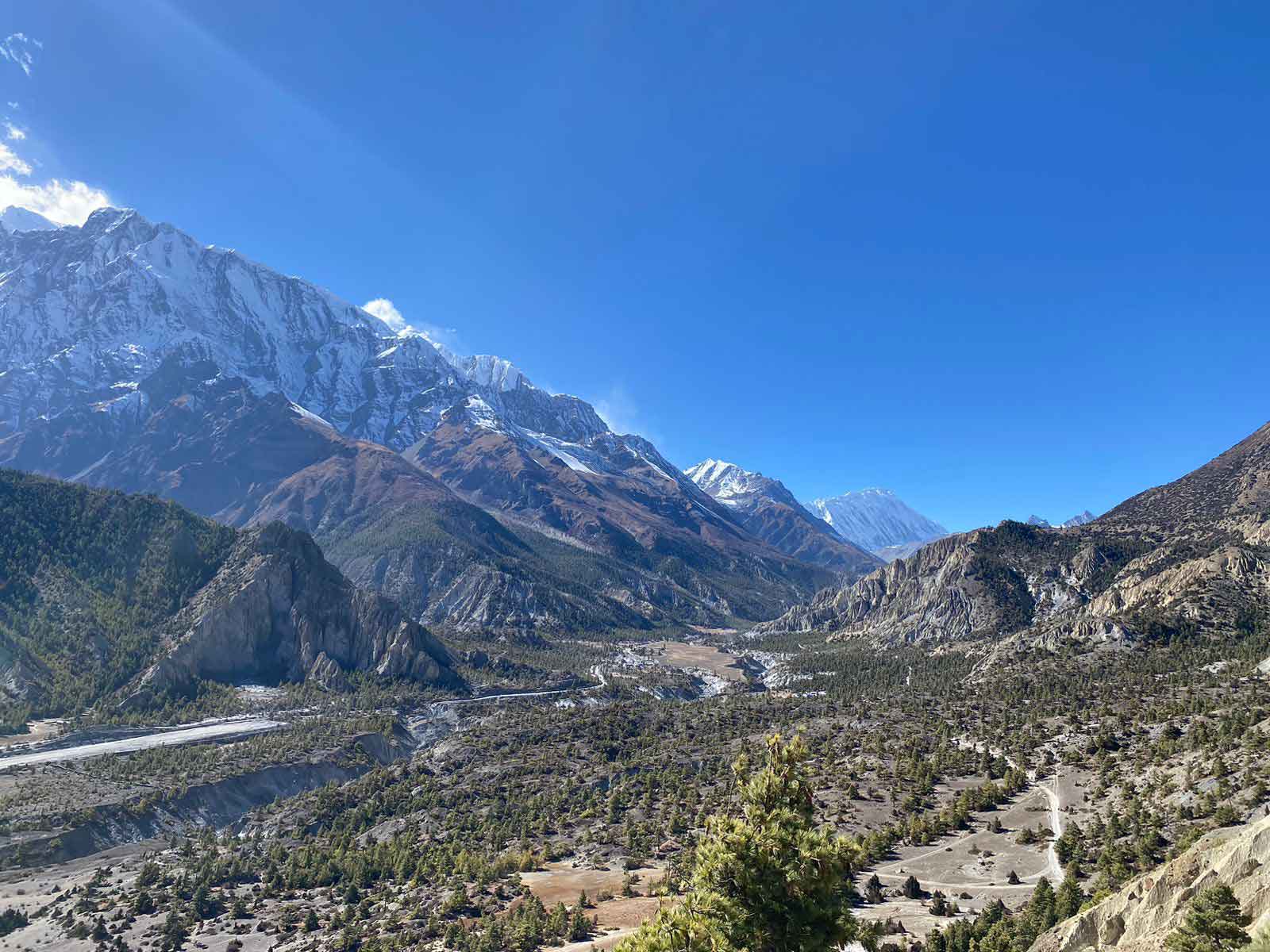 Best ABC Trek: 10 Reasons to go Annapurna Base Camp in Nepal